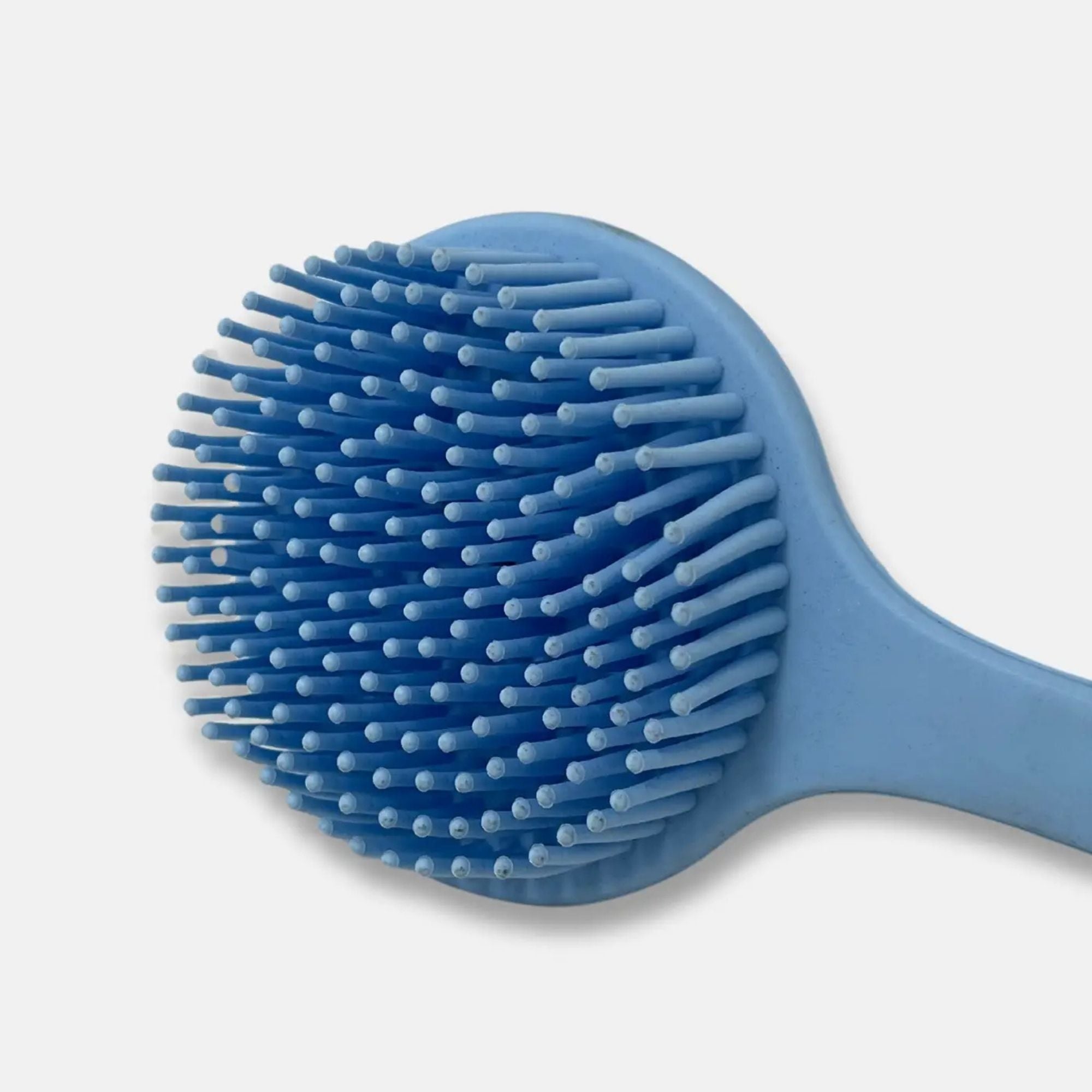 SP116/B Brush & Loofah Set Blue - Rucci Professional